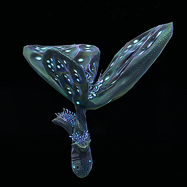 Goboro Reef | Rift Dimension Addicts